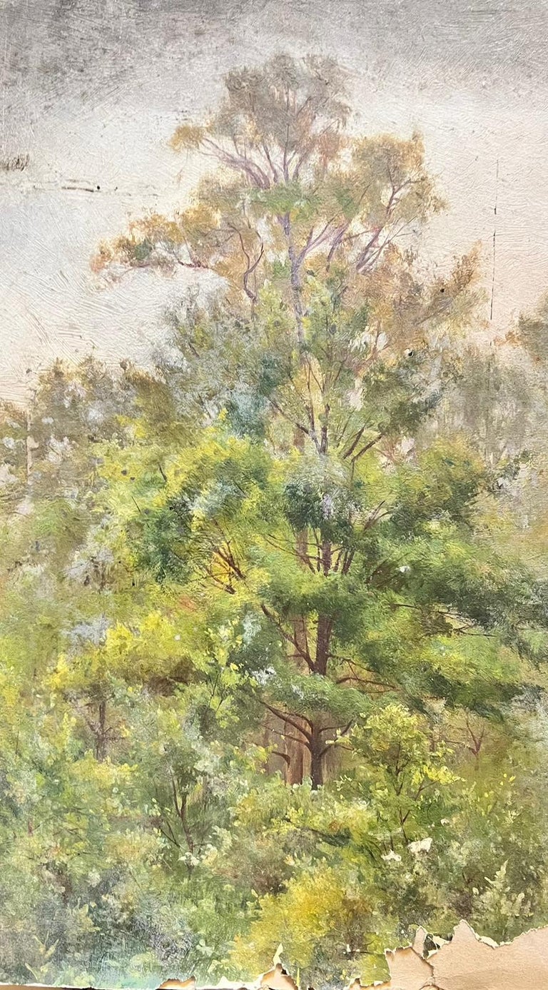 Antique English - Antique Victorian English Oil Tall Tree Woodland For ...