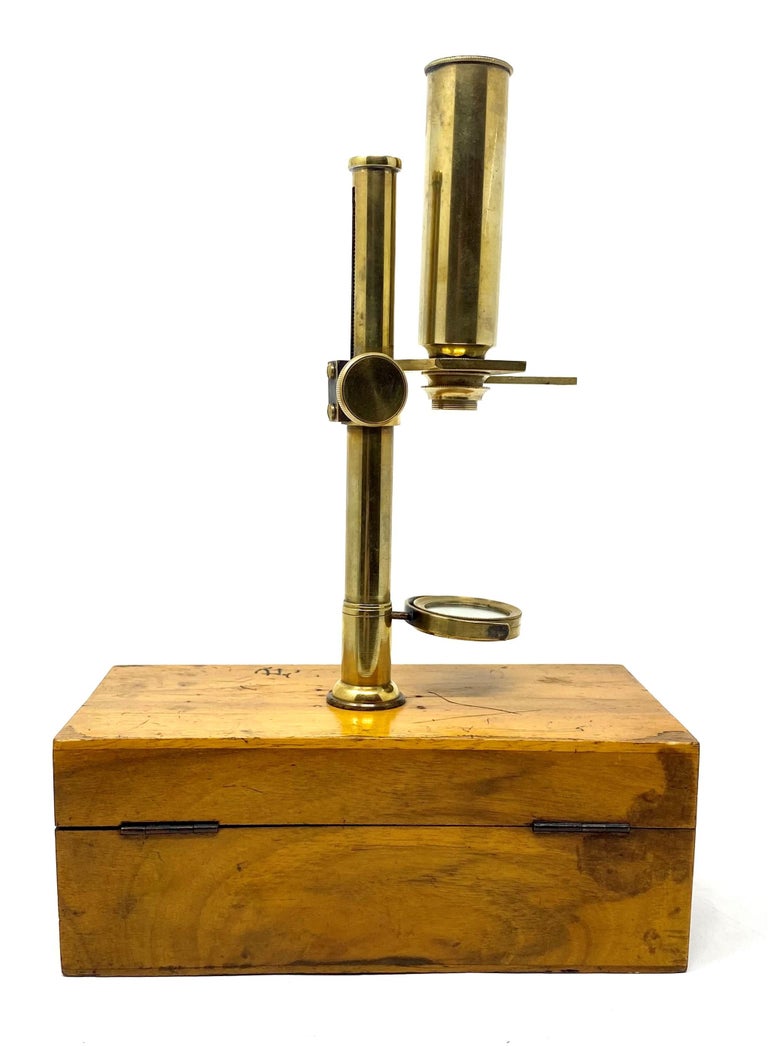 Antique English Brass Field Microscope in Original Case, circa 1890 ...