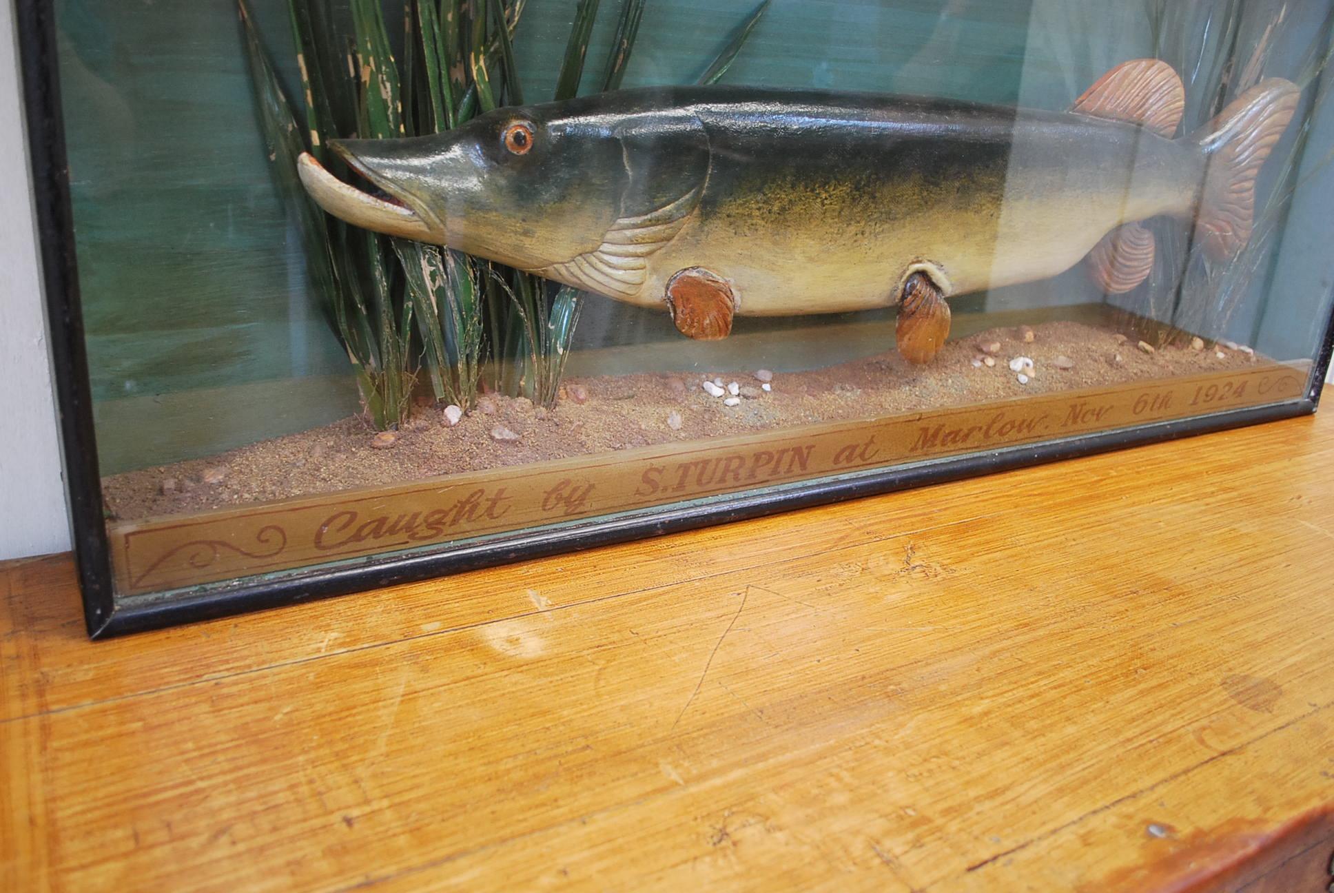 Antique English decorative Carved Wood fish , A Pike in Case, circa ...