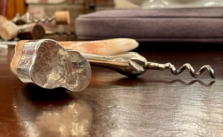 Antique English Hallmarked Sterling Silver Mounted Boar's Tusk ...