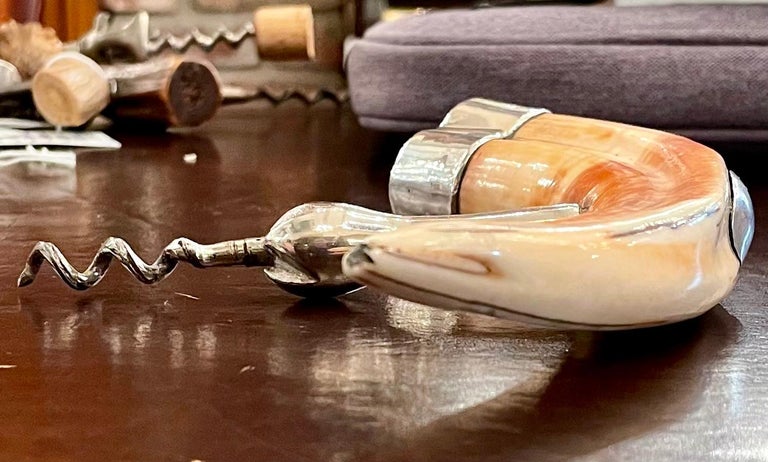 Antique English Hallmarked Sterling Silver Mounted Boar's Tusk ...