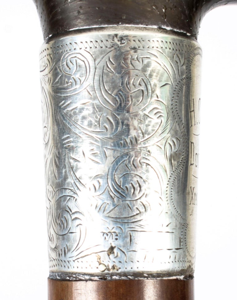 Antique English Horn and Malacca Sword / Walking Stick Cane 19th ...