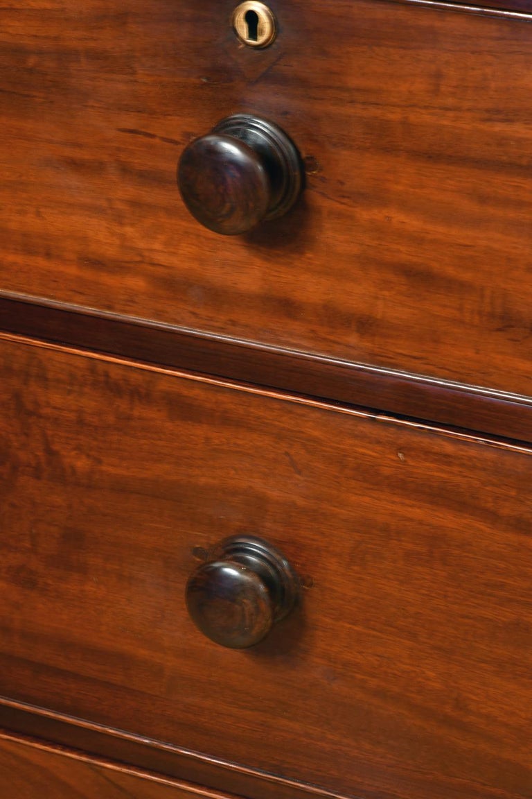 Antique English Regency Linen Press in Mahogany with Interior and ...