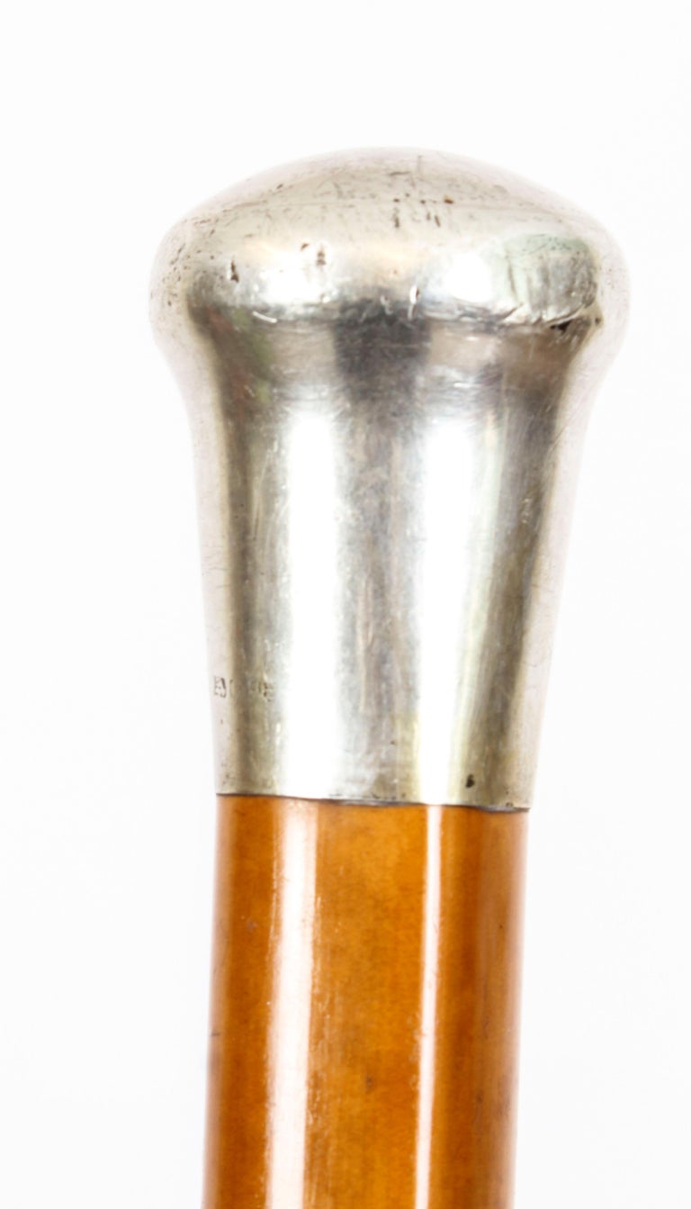 Antique English Silver and Malacca Sword / Walking Stick Cane 19th ...