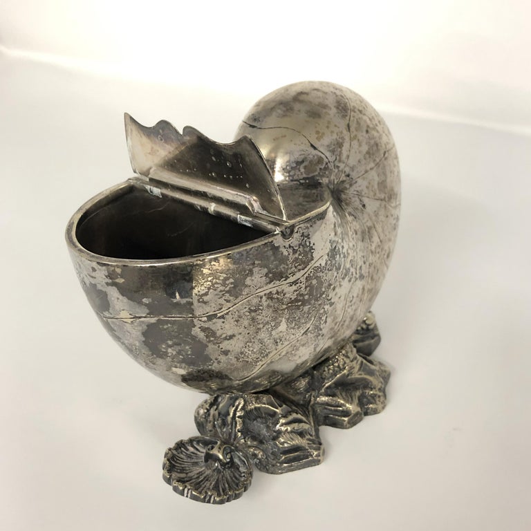 Antique English Silver Plated Nautilus Shell Spoon Warmer For Sale at ...