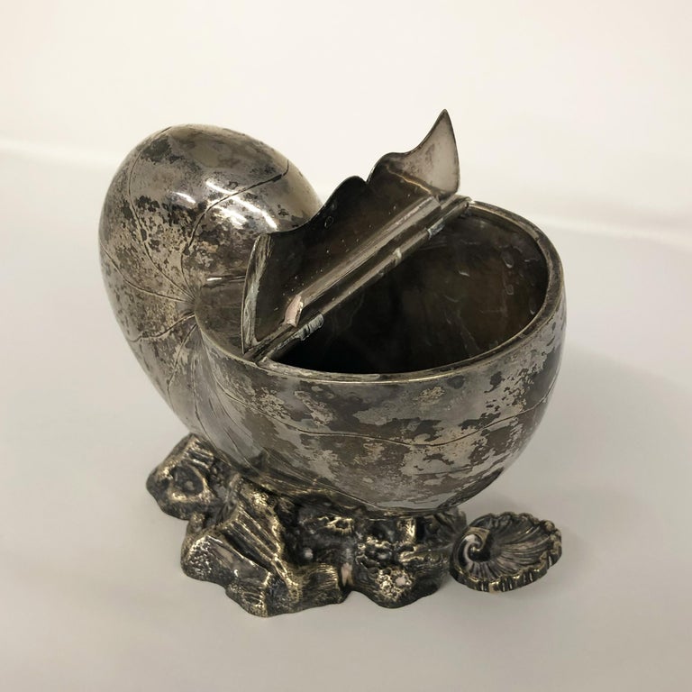 Antique English Silver Plated Nautilus Shell Spoon Warmer For Sale at ...