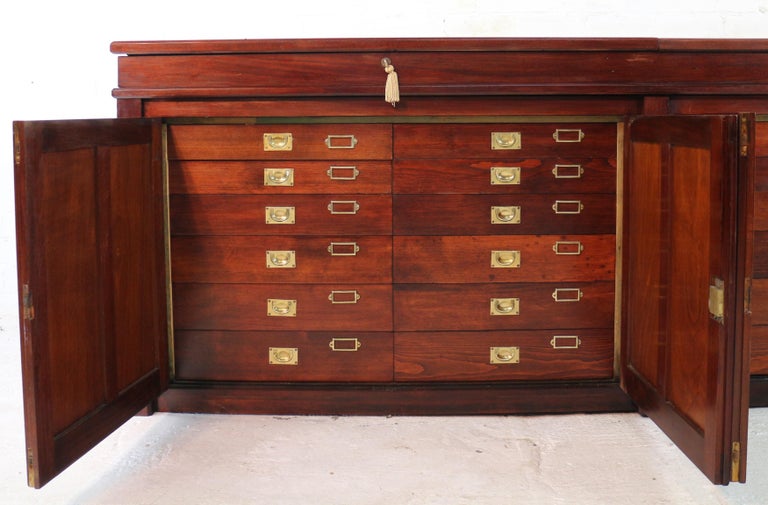 Antique English Victorian Mahogany Museum Specimen or Collectors ...