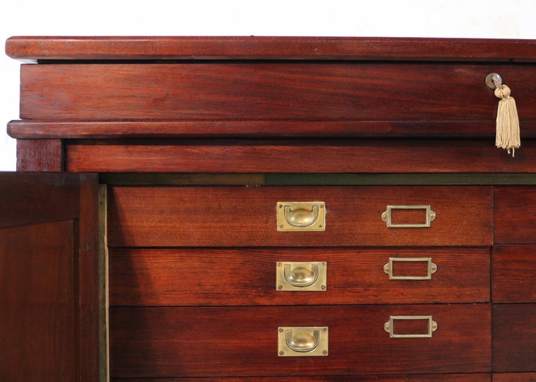 Antique English Victorian Mahogany Museum Specimen or Collectors ...