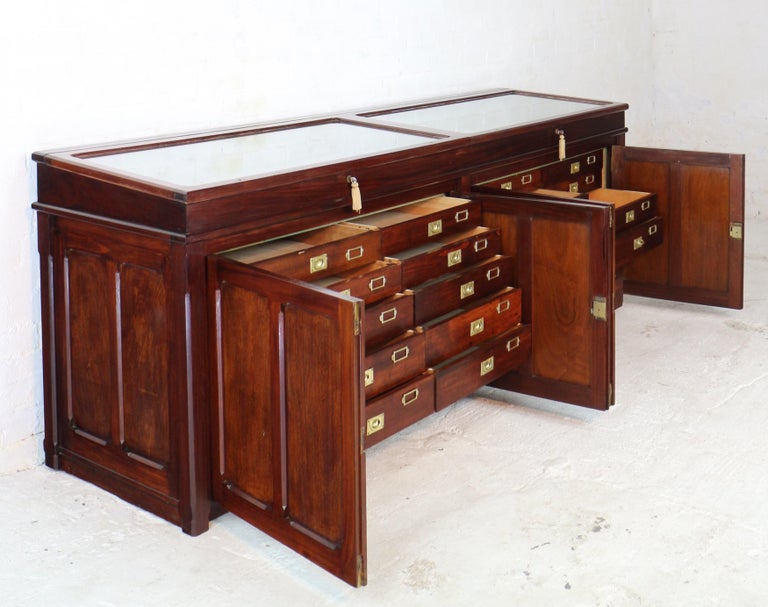 Antique English Victorian Mahogany Museum Specimen or Collectors ...