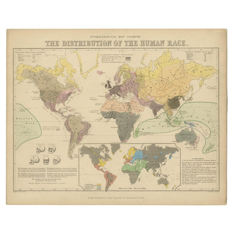 Antique Ethnographical Map Showing the Distribution of the Human Race ...
