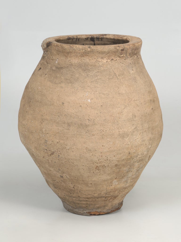 Antique European Huge Clay Pot, Planter or Garden Urn circa 1900 All ...