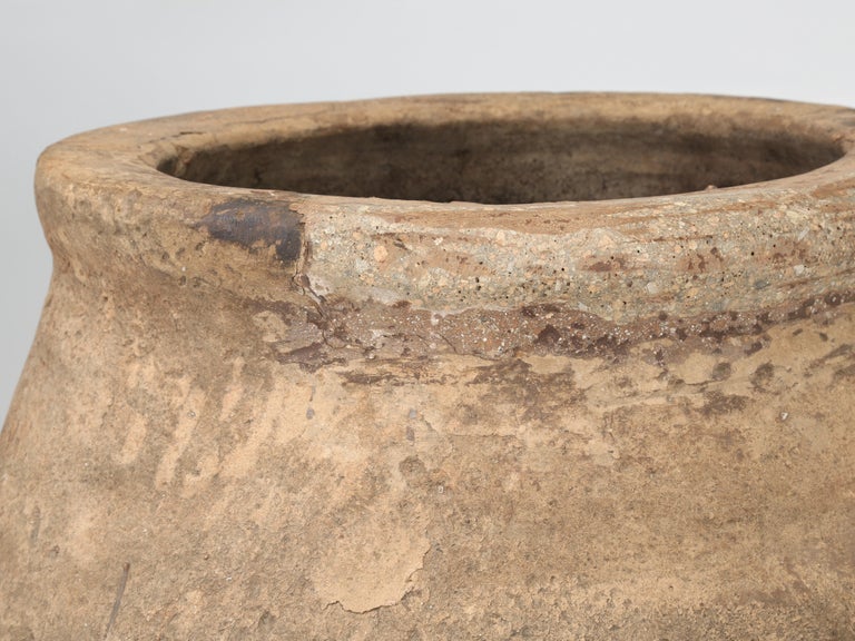 Antique European Huge Clay Pot, Planter or Garden Urn circa 1900 All ...