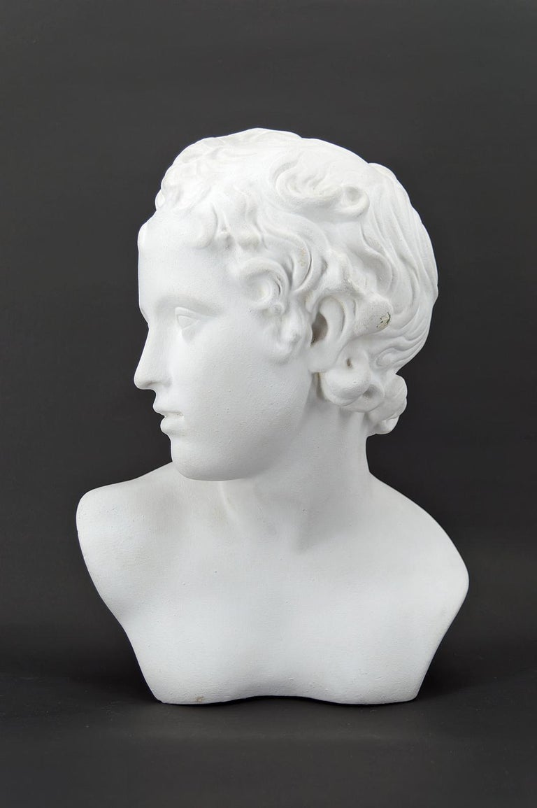Antique Female Bust in Plaster For Sale at 1stDibs