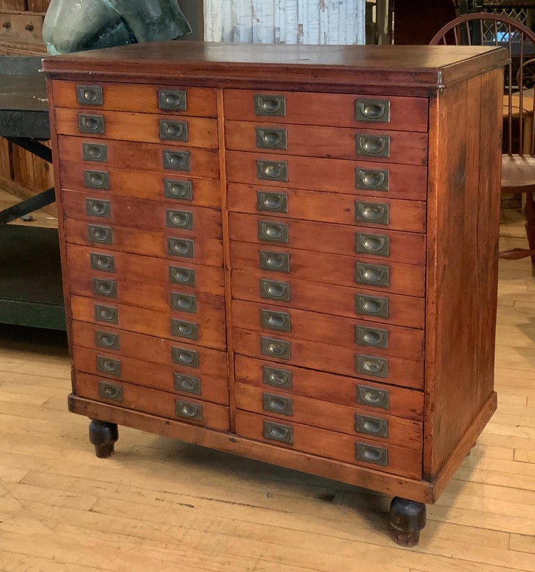 Antique French 19th Century Twenty-Four Drawer Specimen Chest at 1stDibs