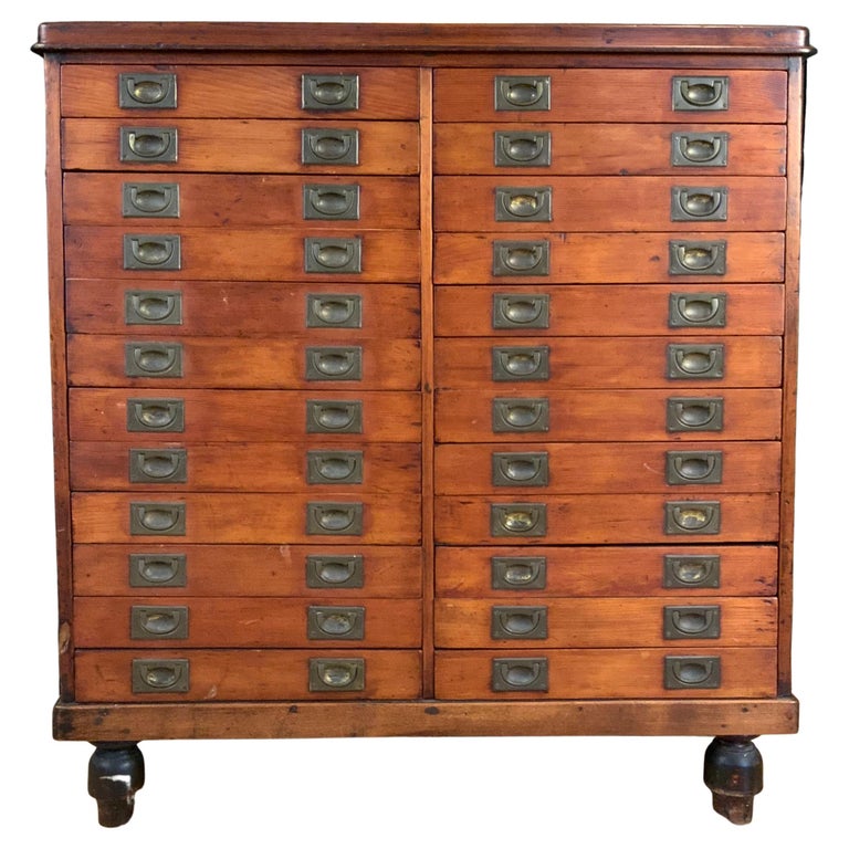 Antique French 19th Century Twenty-Four Drawer Specimen Chest at 1stDibs