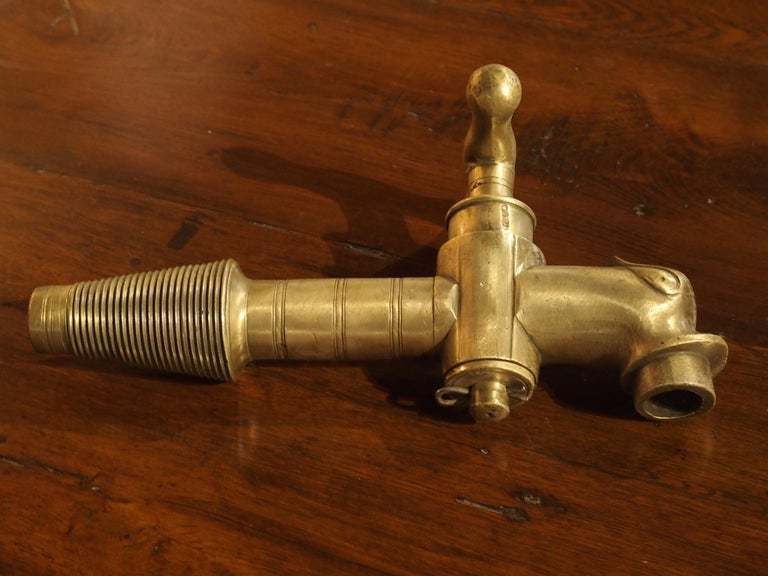 Antique French Bronze Stylized Dolphin Spout, 19th Century at 1stDibs