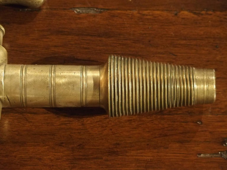 Antique French Bronze Stylized Dolphin Spout, 19th Century at 1stDibs