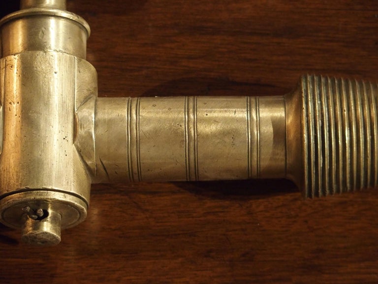 Antique French Bronze Stylized Dolphin Spout, 19th Century at 1stDibs