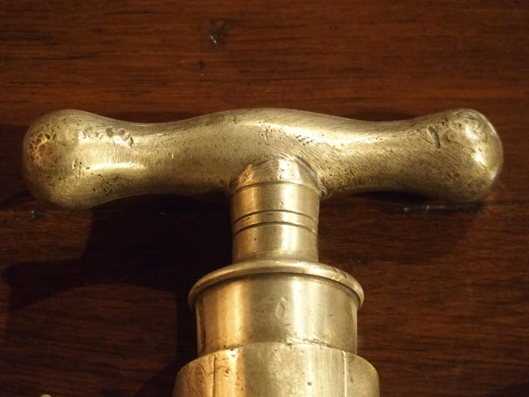 Antique French Bronze Stylized Dolphin Spout, 19th Century at 1stDibs