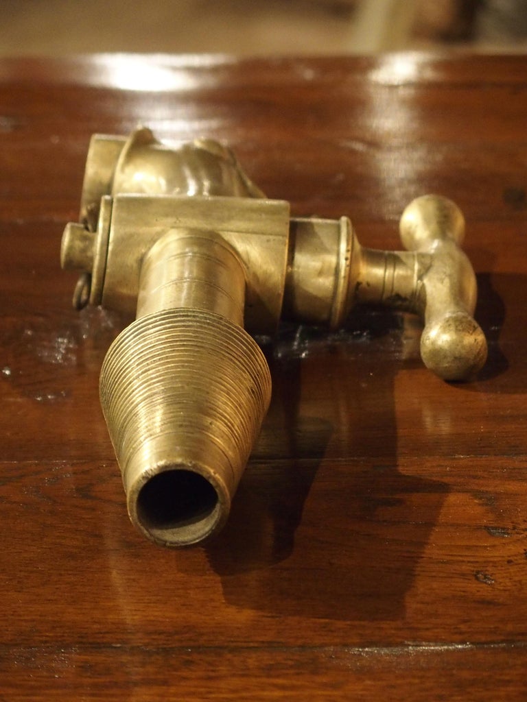 Antique French Bronze Stylized Dolphin Spout, 19th Century at 1stDibs