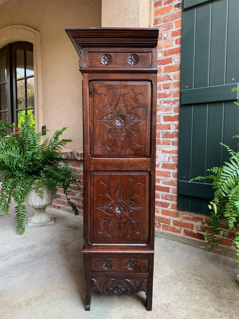 19th century French Carved Oak Storage Cabinet Renaissance Roman ...