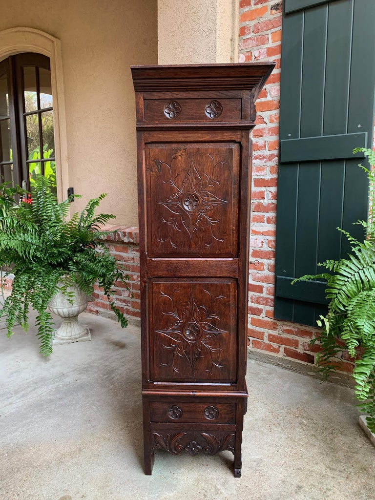 19th century French Carved Oak Storage Cabinet Renaissance Roman ...