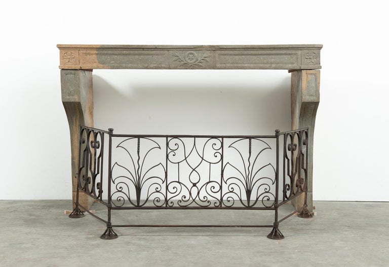 Antique French Fireplace Screen / Gate For Sale at 1stDibs