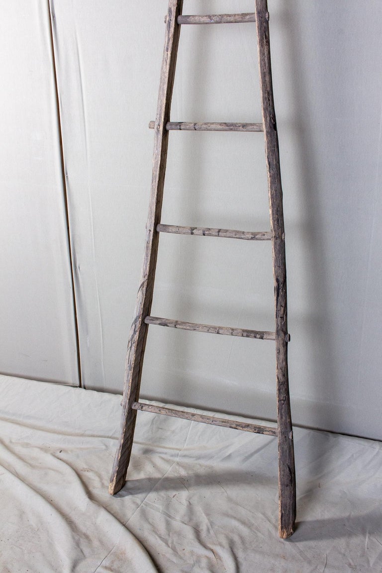 Antique French Fruit Tree Harvest Ladder at 1stdibs