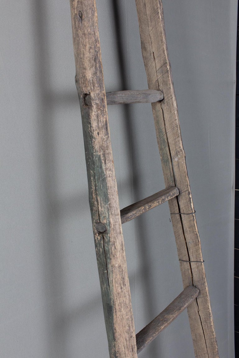Antique French Fruit Tree Harvest Ladder at 1stDibs