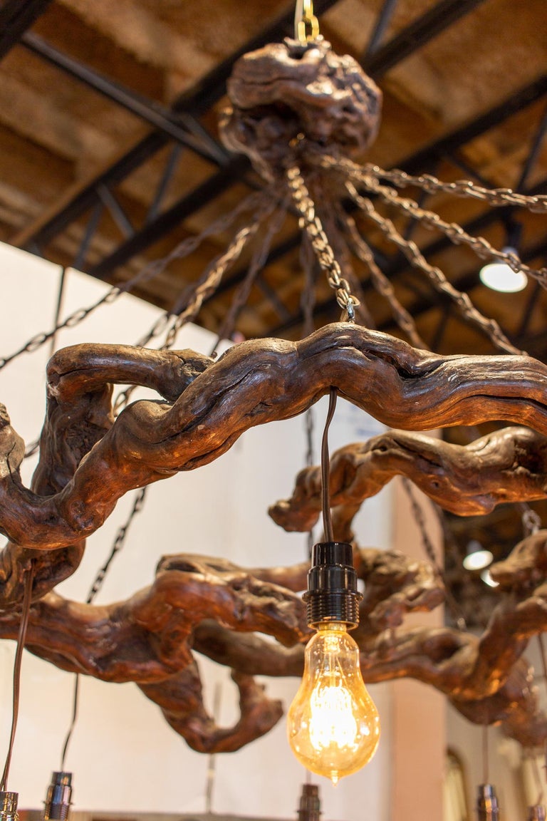 Antique French Grapevine and Chain Chandelier with Edison Bulbs at 1stDibs