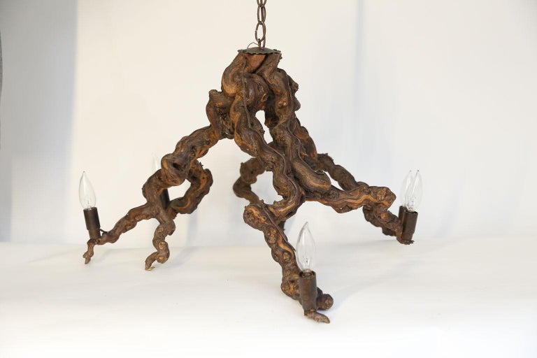 Antique French Grapevine Chandelier at 1stDibs