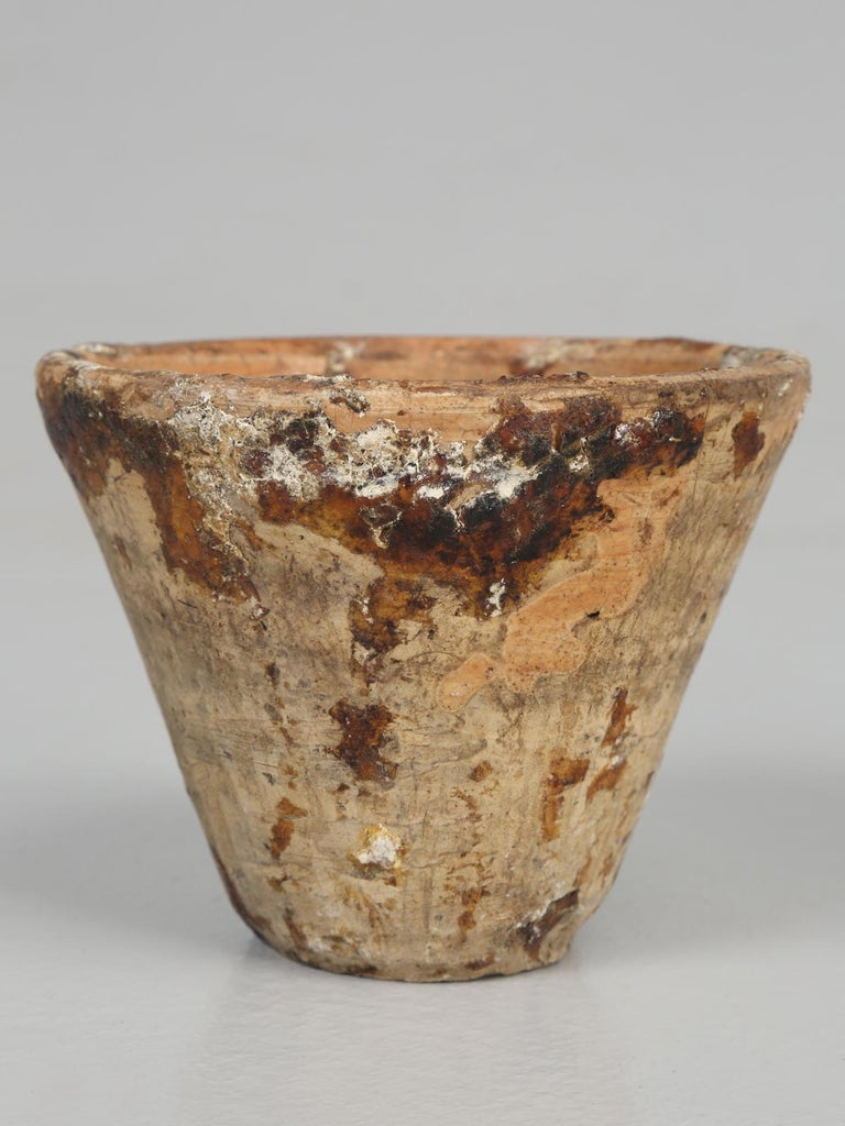 Antique French Jam Pots or Small Terracotta Planters at 1stDibs ...