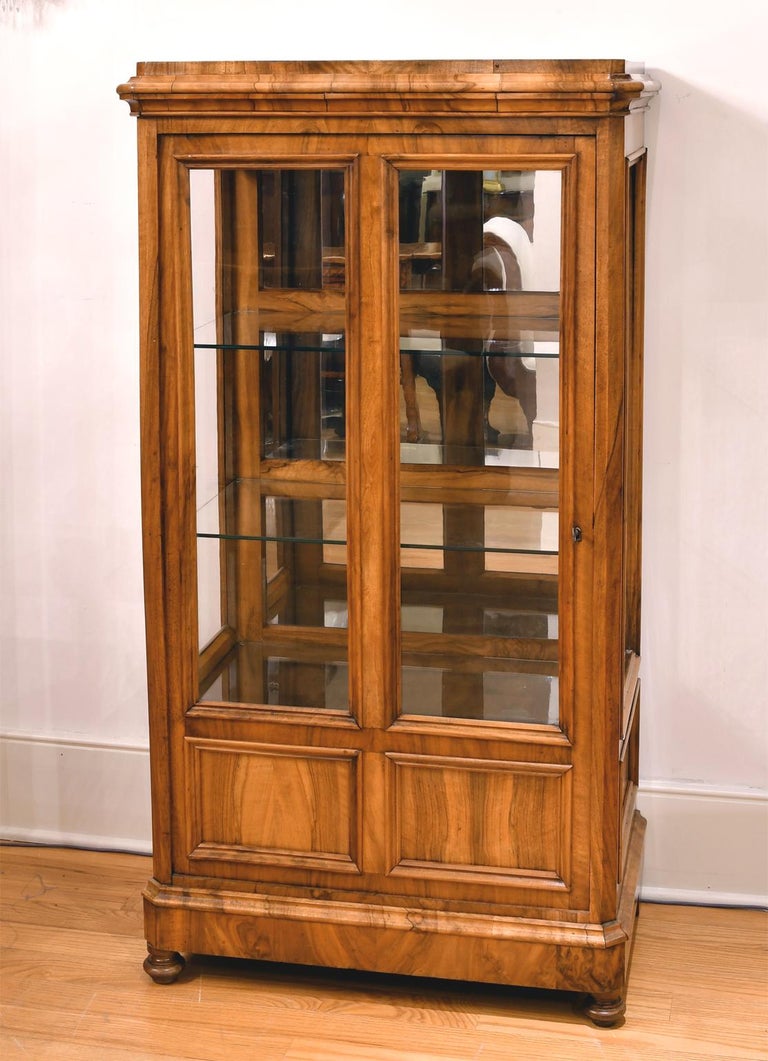 Small Antique French Louis Philippe Bookcase/Vitrine in Walnut with ...