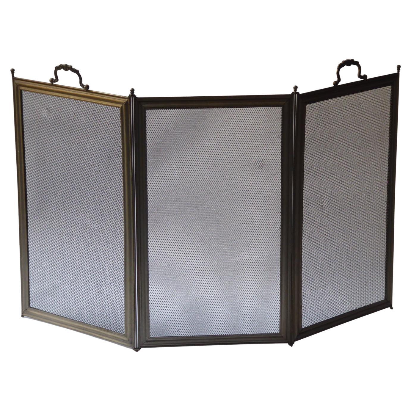 Antique French Bronze Fireplace Screen at 1stDibs