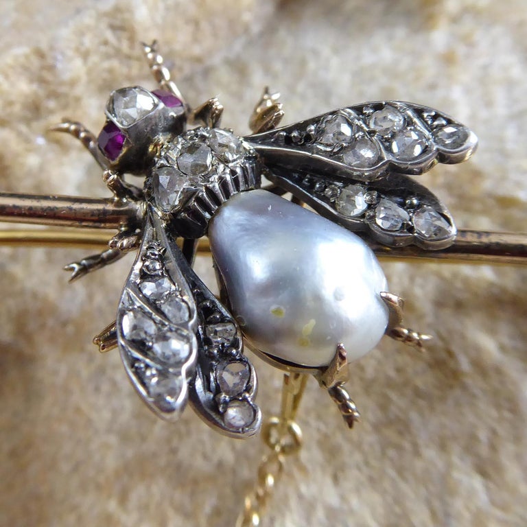 Antique French Pearl, Diamond and Ruby Insect Brooch, circa 1890s For ...