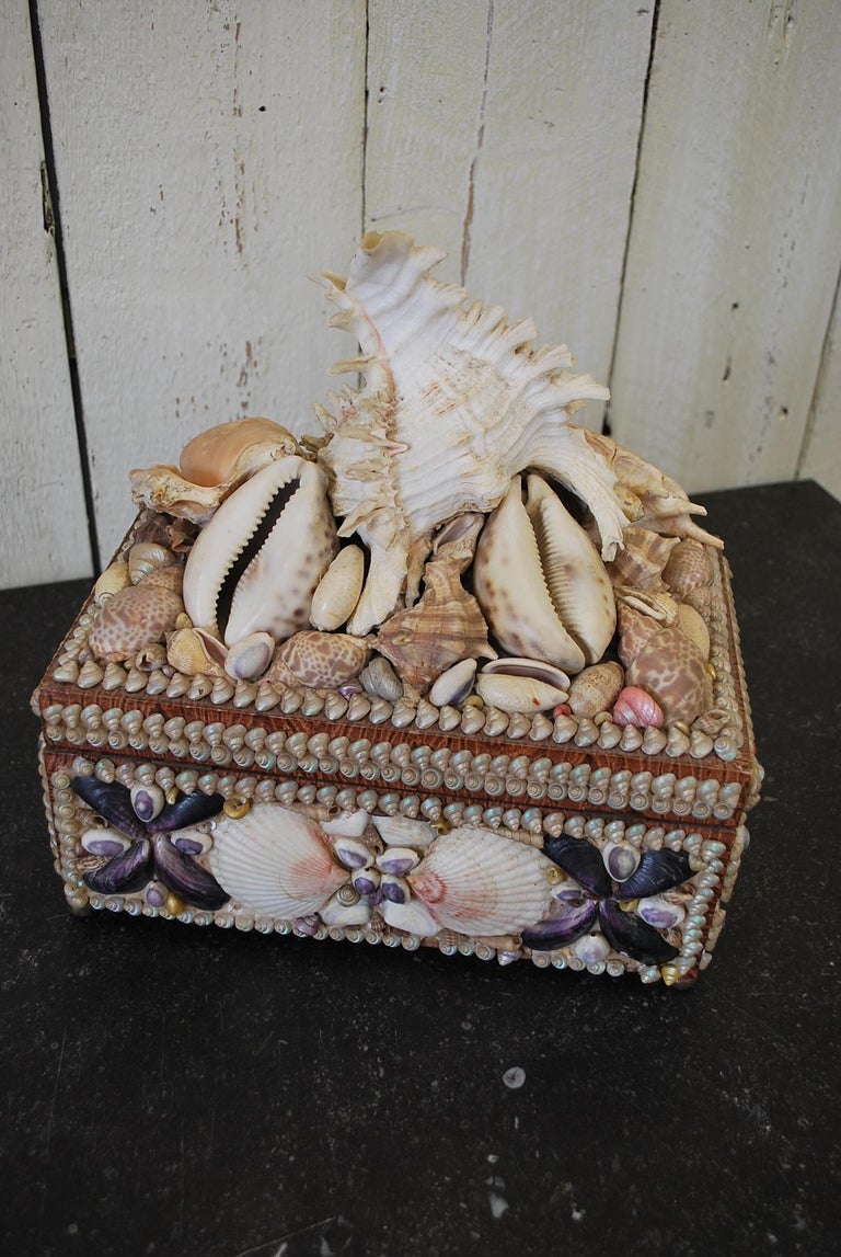 Antique French seashell Decorative Jewellery /curios Box, Circa 1900 ...