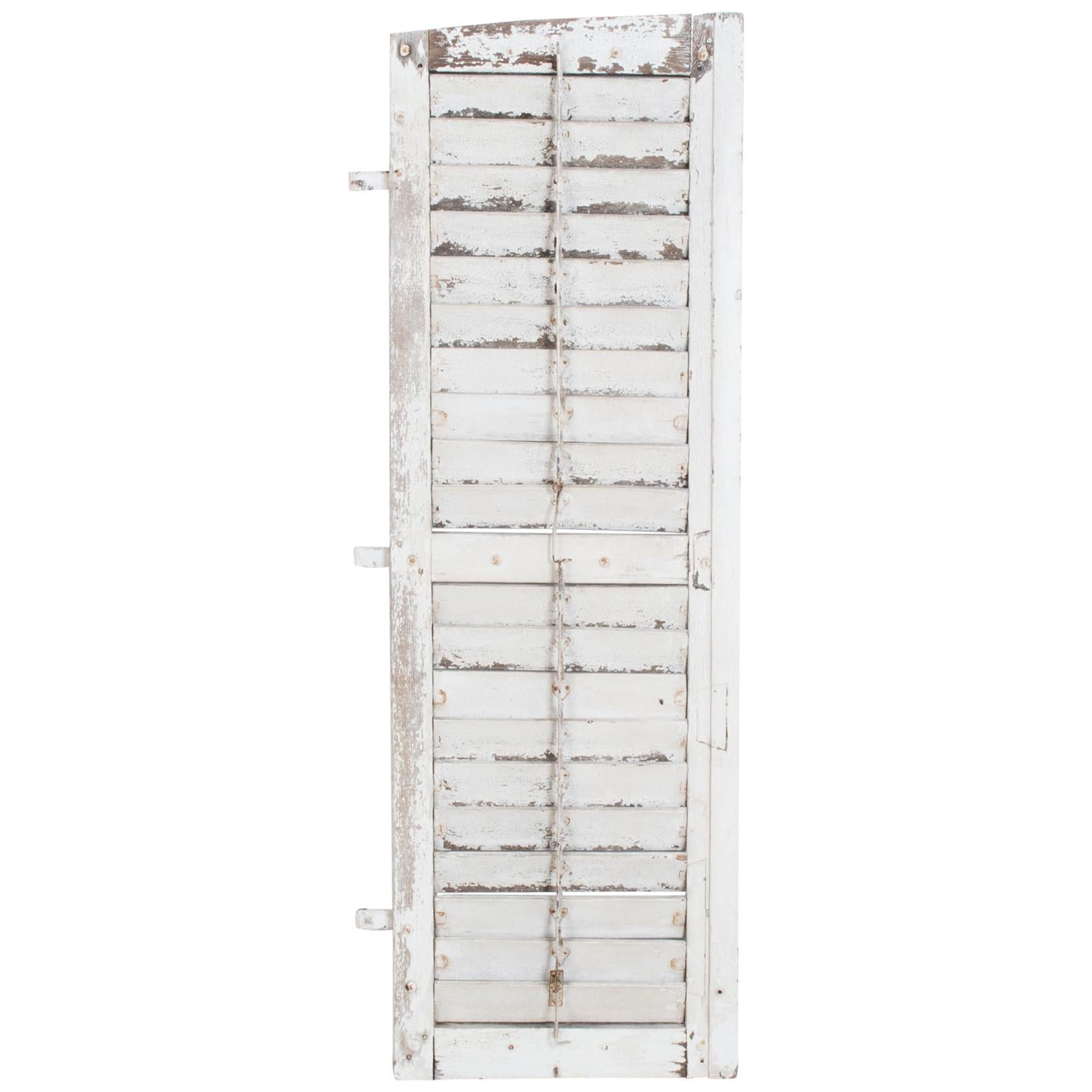 Antique French Shutters at 1stDibs