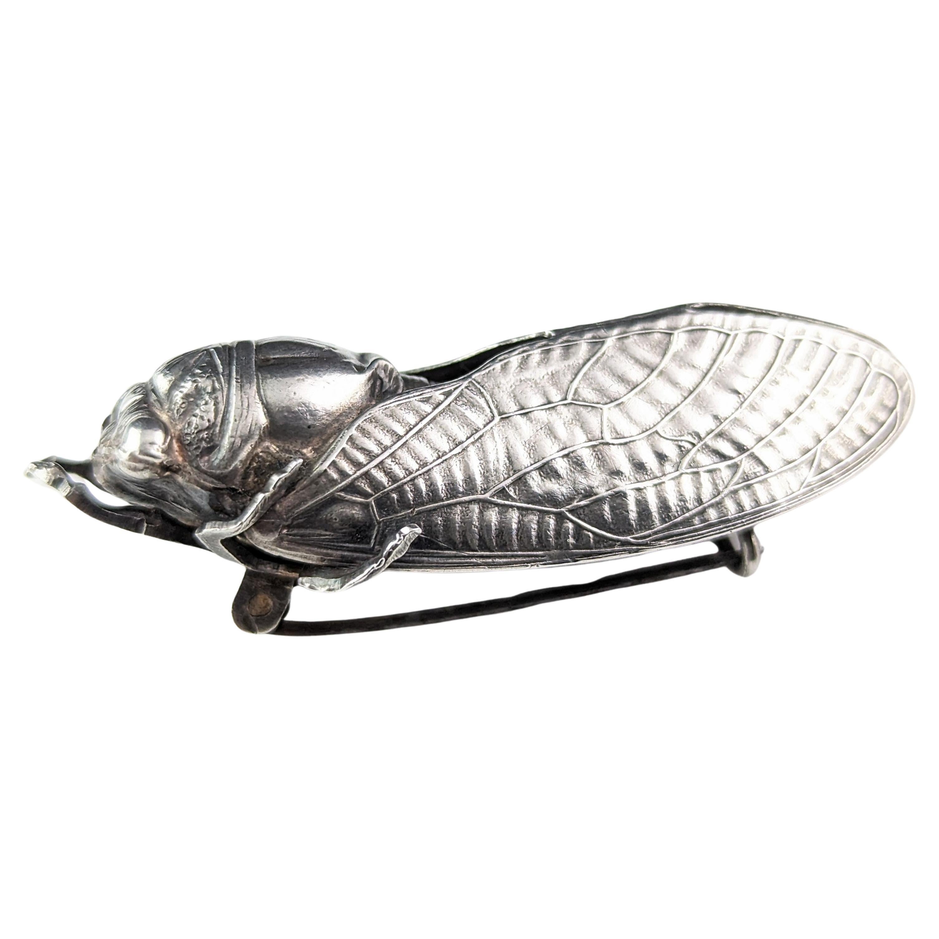 Antique French silver cicada brooch, Art Nouveau For Sale at 1stDibs ...