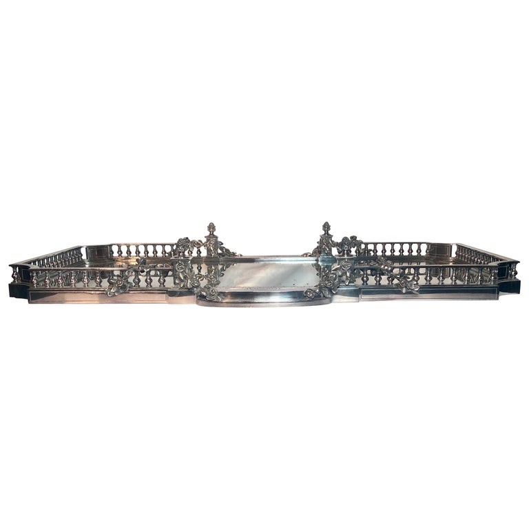 Antique French Silvered Bronze Plateau by Cardeilhac in Form of Garden ...