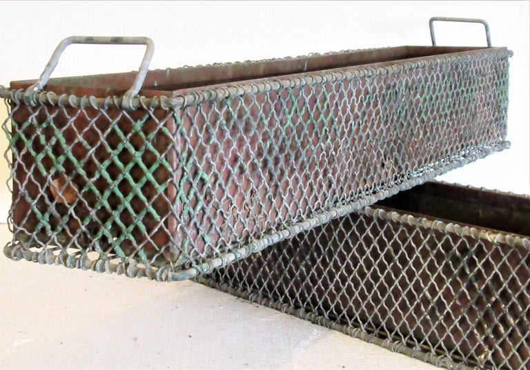 Antique French Wire Rectangular Garden Planters at 1stDibs