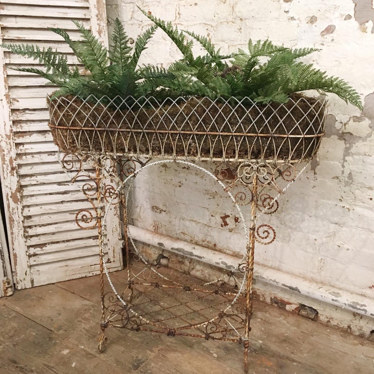 Antique French Wirework Jardinière Plant Stand at 1stDibs