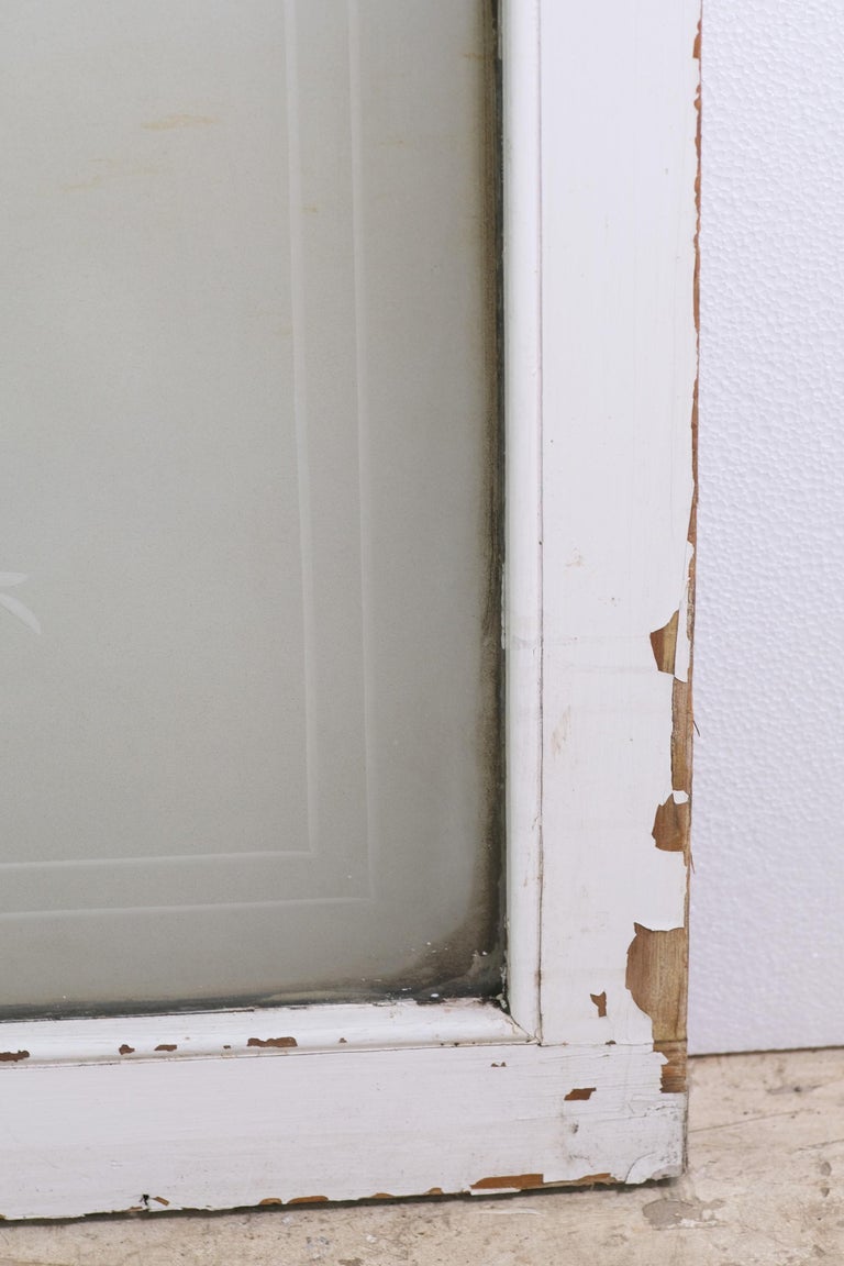 Antique Frosted Glass Transom Window w/ Etched Foliate Details, #332 ...