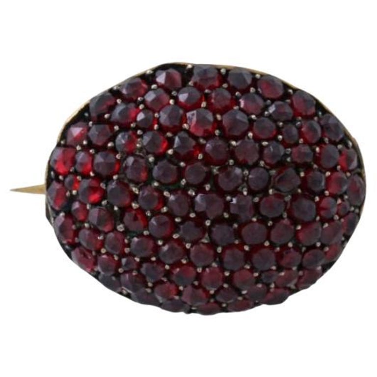 Antique Garnet Brooch For Sale at 1stDibs