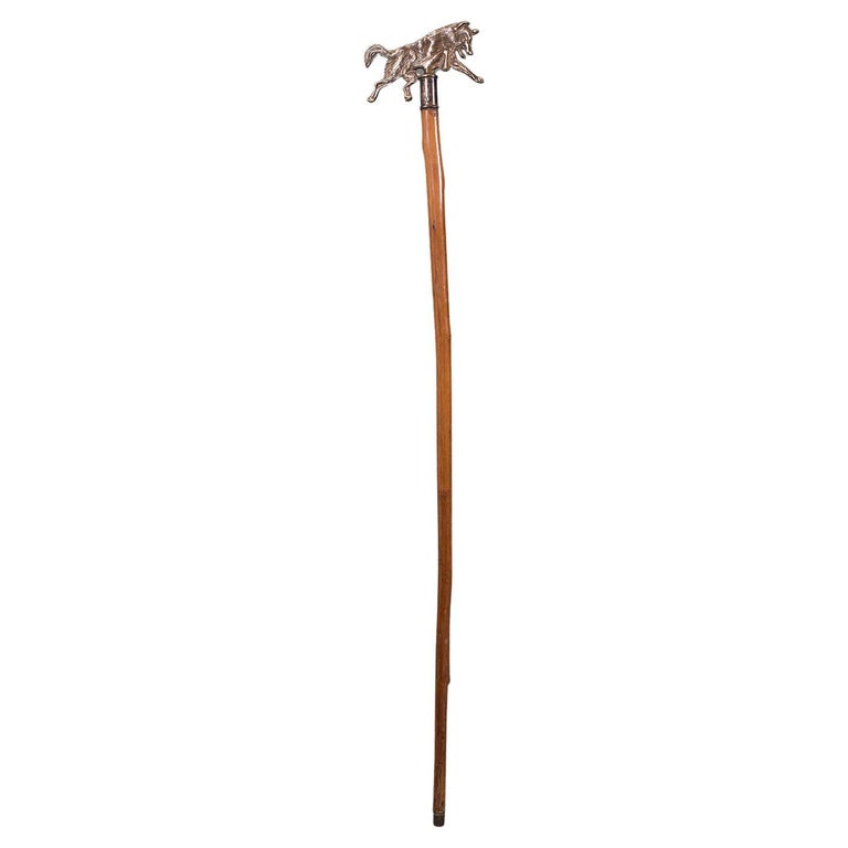 Antique Gentleman's Walking Stick, German, Cane, Black Forest ...