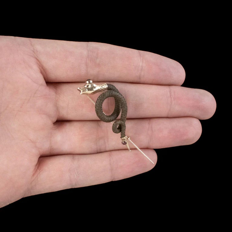 Antique Georgian Garnet Mourning Snake Pin in 18 Carat Gold, circa 1830 ...