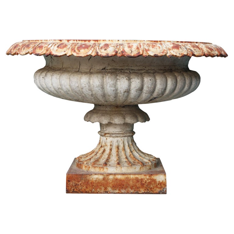 Antique Georgian Style Cast Iron Garden Planter For Sale at 1stDibs