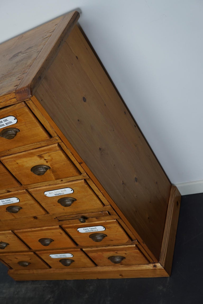 Antique German Pine Apothecary Cabinet with Enamel Shields, 1900s For ...