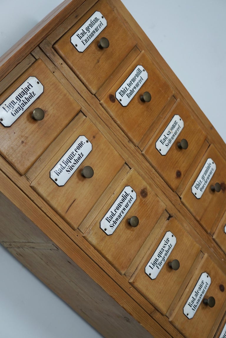 Antique German Pine Apothecary Cabinet with Enamel Shields, 1900s For ...