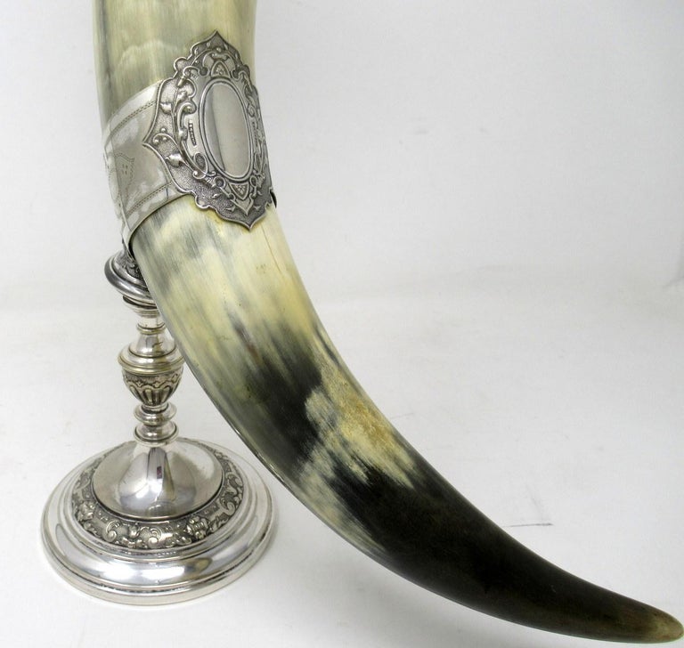 Antique German Silver Plated Cow Horn Drinking Vessel Beer Stein ...