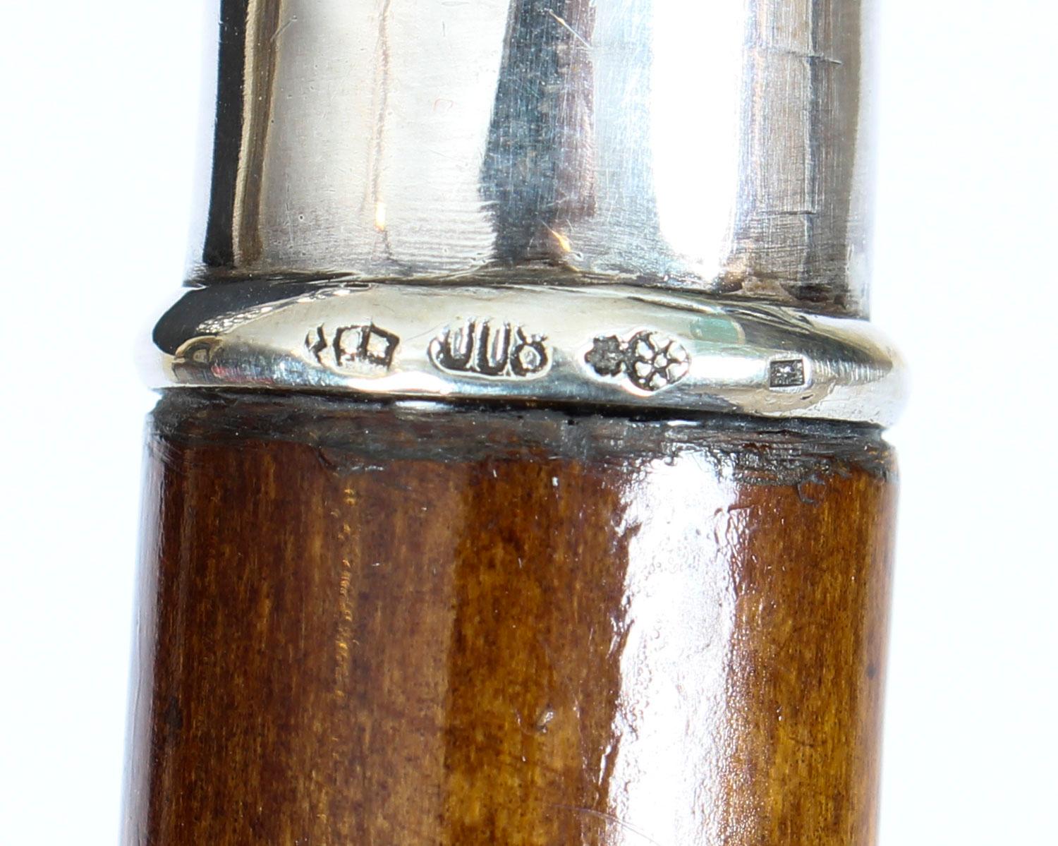Antique German Walking Stick Cane with Sterling Silver Handle, 19th ...